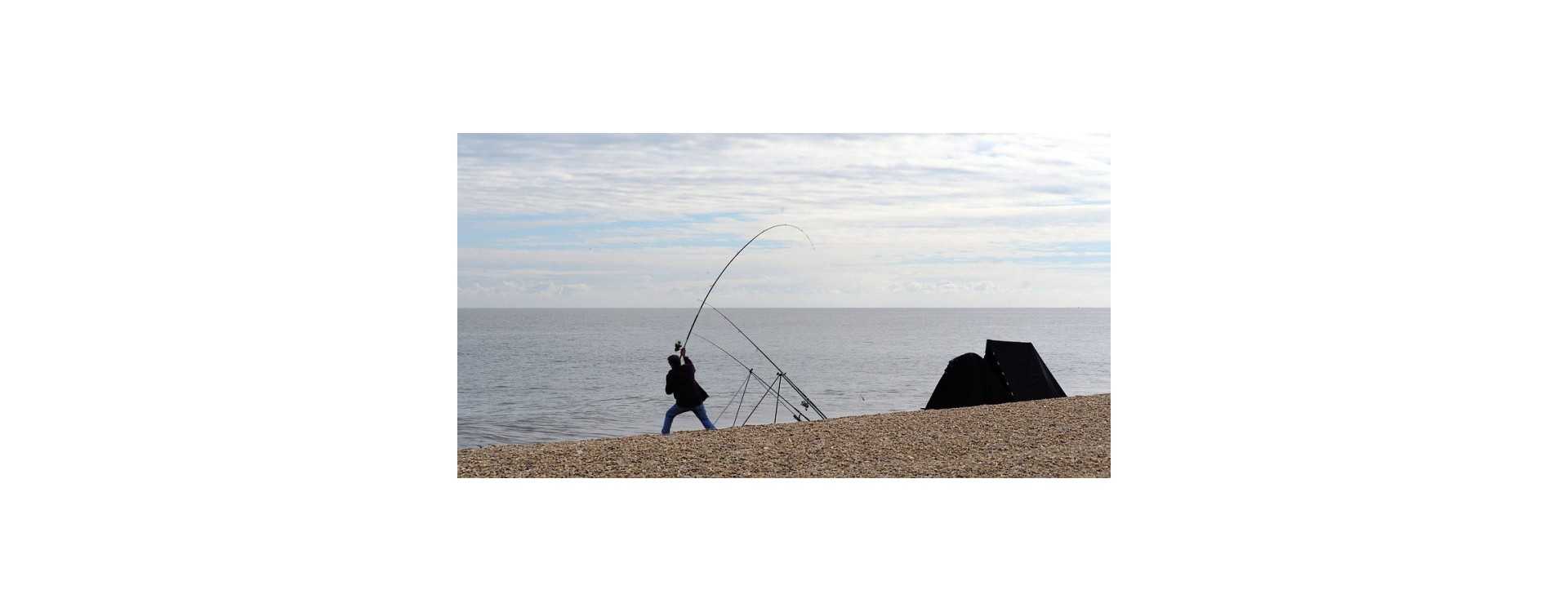 Comment pêcher la brème